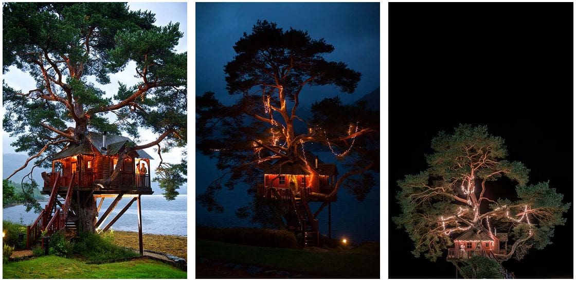 Enchanting Treehouse Sets The Perfect Scene For A Unique Celebration